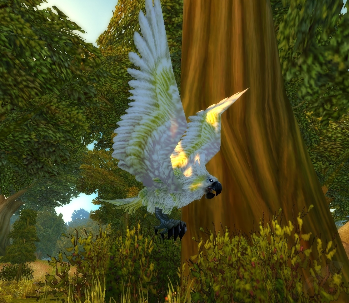 Polymorphed Apprentice - NPC - Classic World of Warcraft