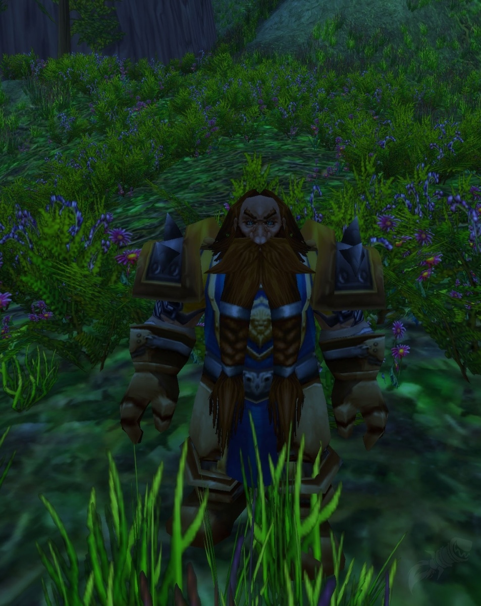 Бригадный генерал Альянса - NPC - Cataclysm Classic