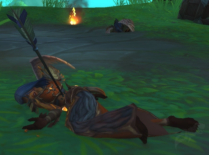 Enflamed Summoner - NPC - World of Warcraft