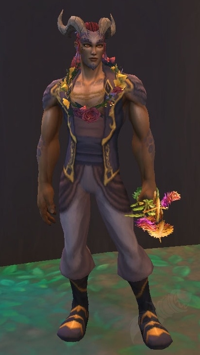 Recepcionista de la sauna - PNJ - World of Warcraft