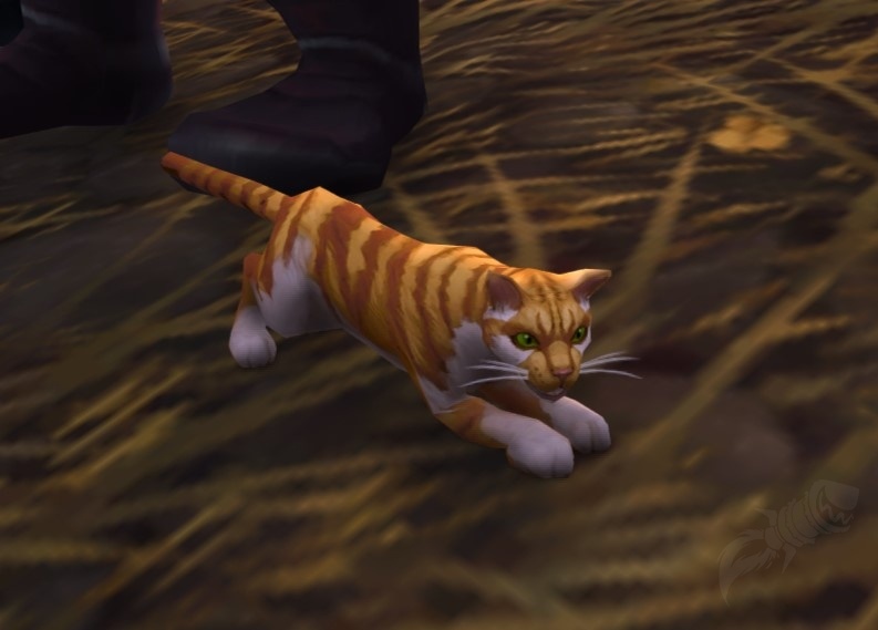 Fang - NPC - World of Warcraft