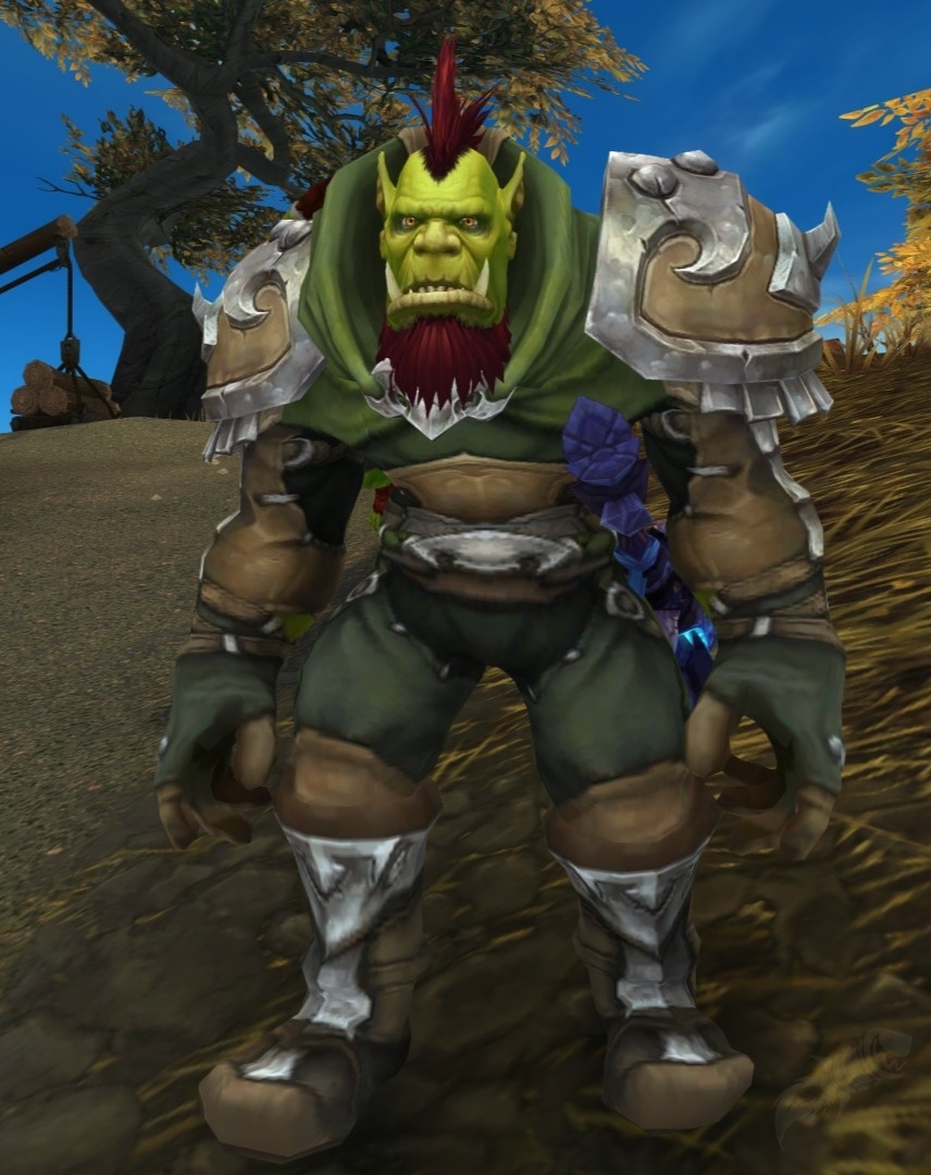 Grok Llamapiedras - PNJ - World of Warcraft