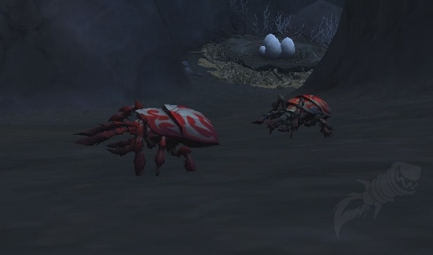 Rocdrop Scarab - NPC - World of Warcraft