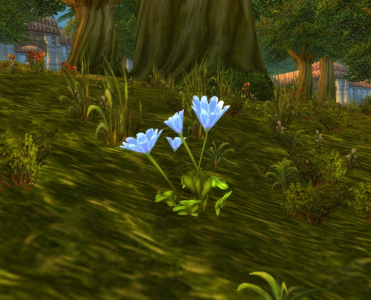 Peacebloom - Object - Classic World of Warcraft