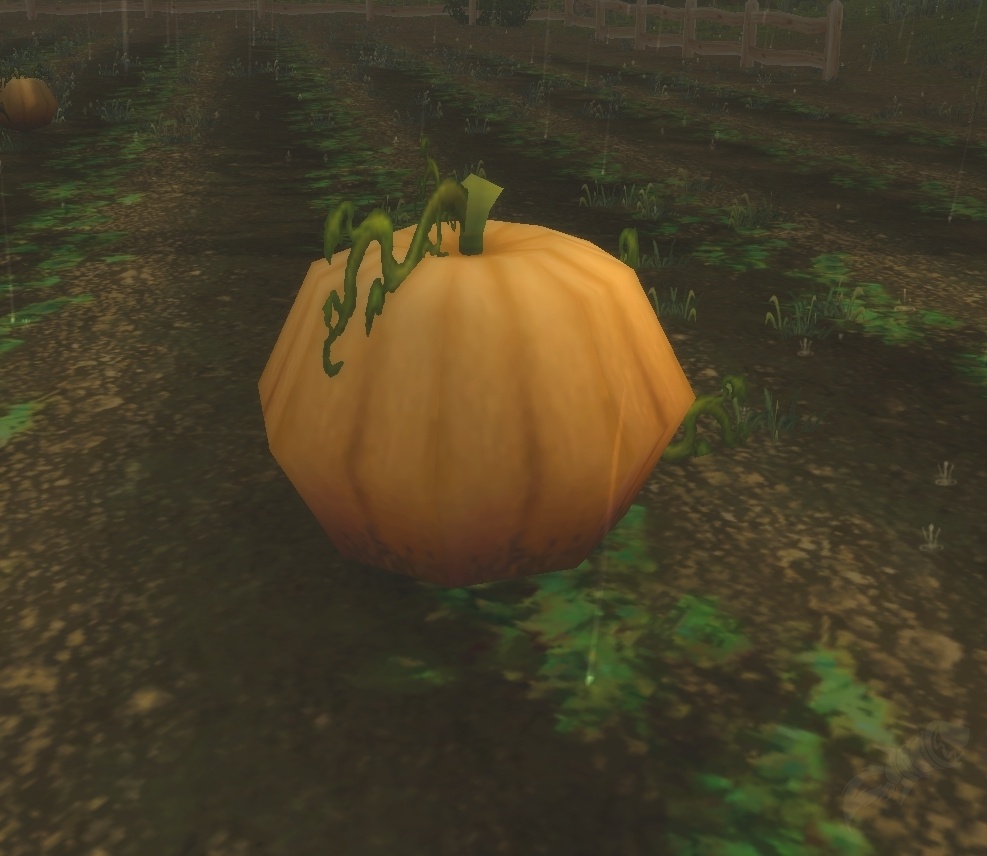 Ripe Pumpkin - Object - WotLK Classic