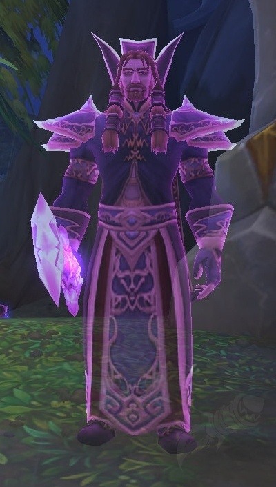 Memory of a Defender - NPC - World of Warcraft