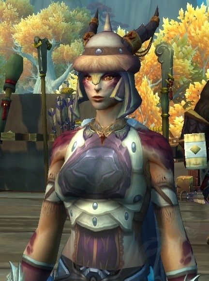 Wasteland Ringmail Armor - Item - 11.0.5 PTR