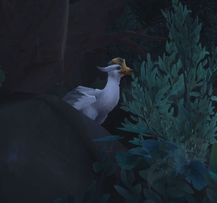 Pferdegroße Ente - NPC - World of Warcraft
