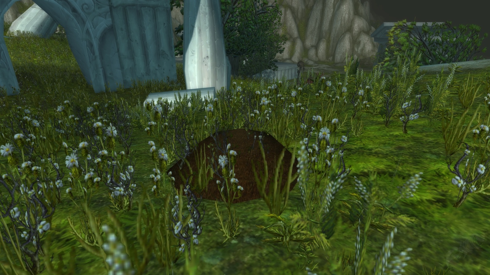 [Sandy Loam] - Entidad - World of Warcraft Clásico