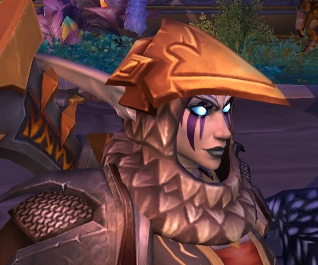 Trailblazer's Toughened Coif - Item - World of Warcraft