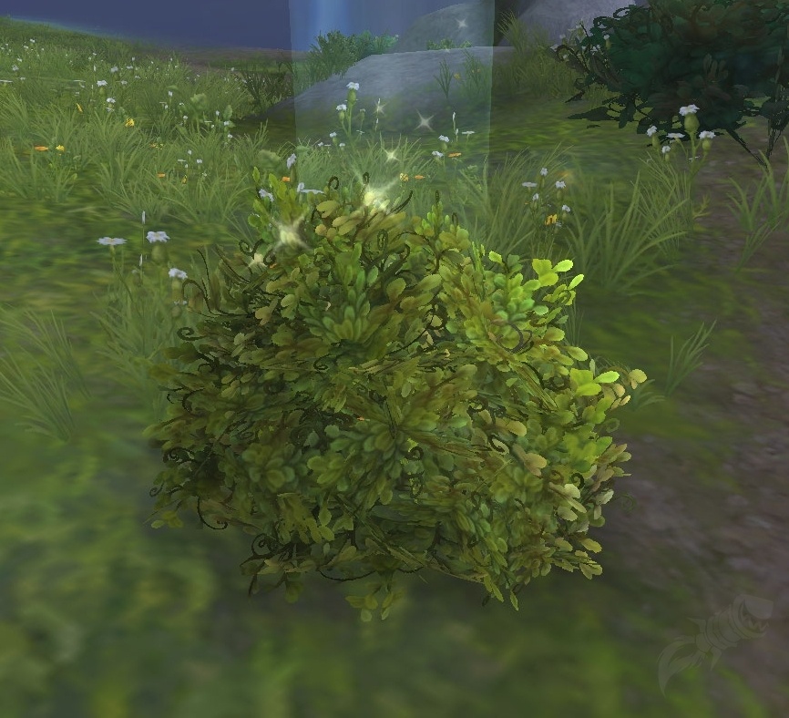 The Ambush - Item - World of Warcraft