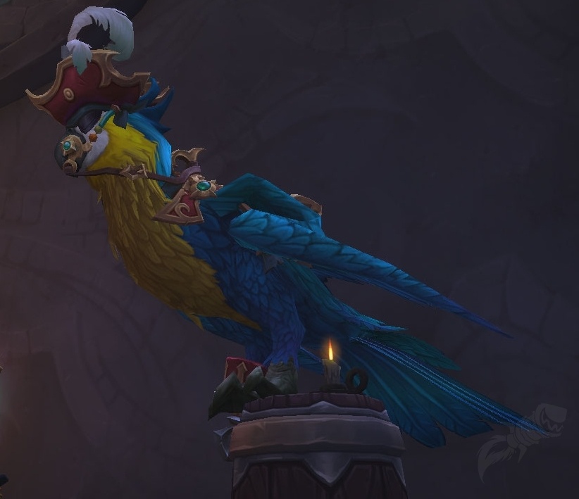 Polly, el loro pirata - PNJ - World of Warcraft