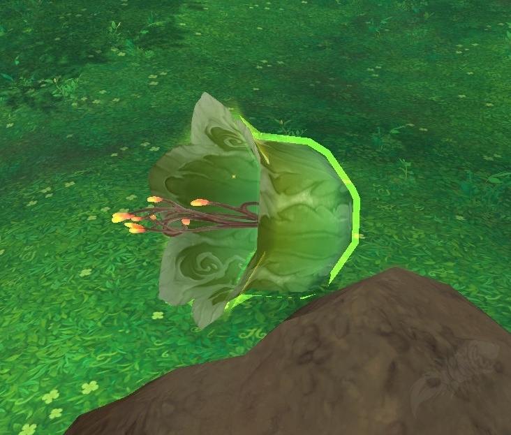 Dreamseed Cache - Object - World of Warcraft