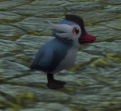 Black Duck Disguise - Item - World of Warcraft