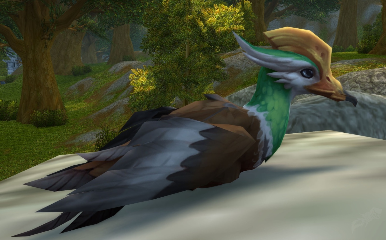 Relaxed Duck - NPC - World of Warcraft