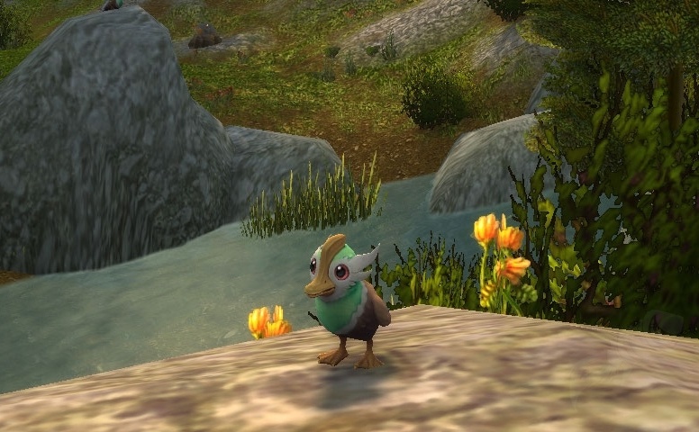 Mallard Duck Disguise - Item - World of Warcraft
