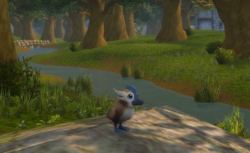 Brown Duck Disguise - Item - World of Warcraft