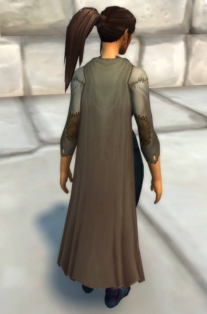 Wanderer's Camo Cloak - Item - World of Warcraft