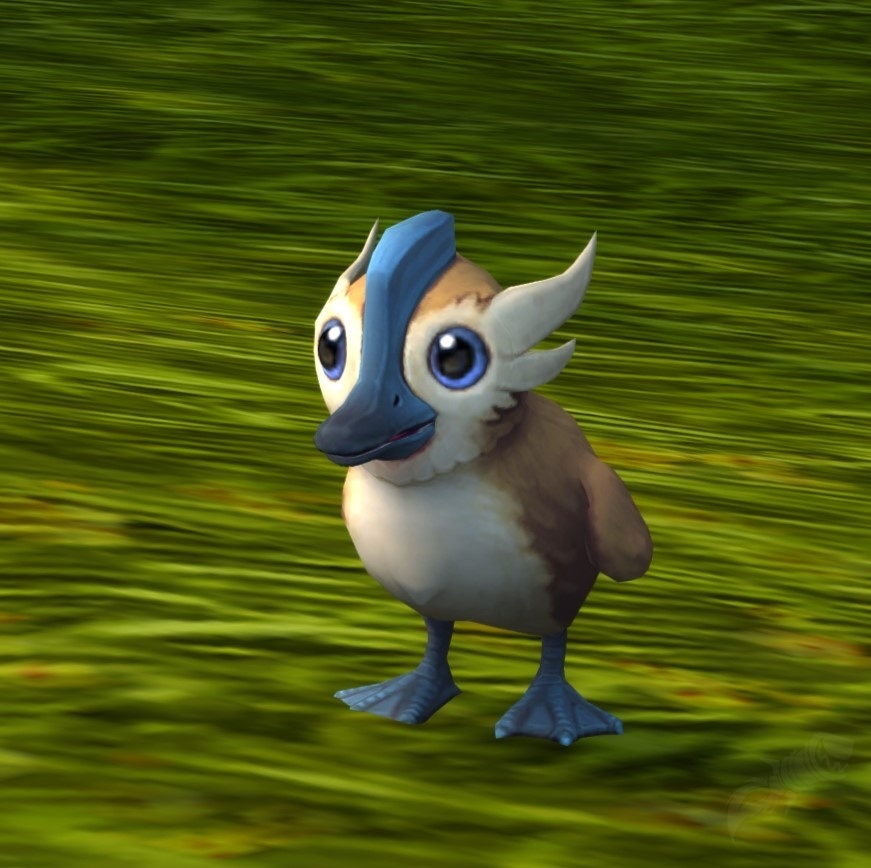 Polymorphed Duck - NPC - World of Warcraft