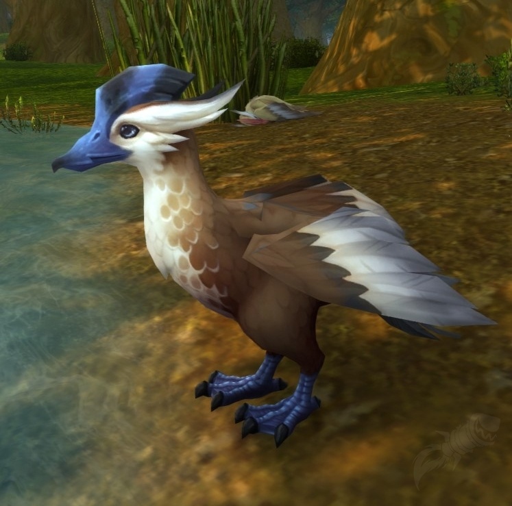 Mischievous Duck - NPC - World of Warcraft