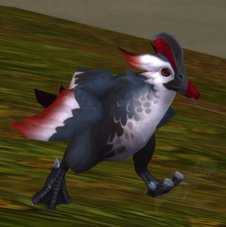 Hungry Duck - NPC - World of Warcraft