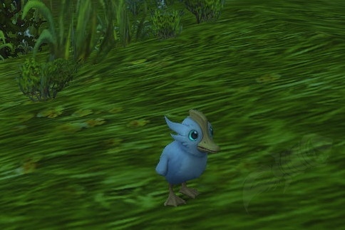 Duck Disguise - Spell - World of Warcraft