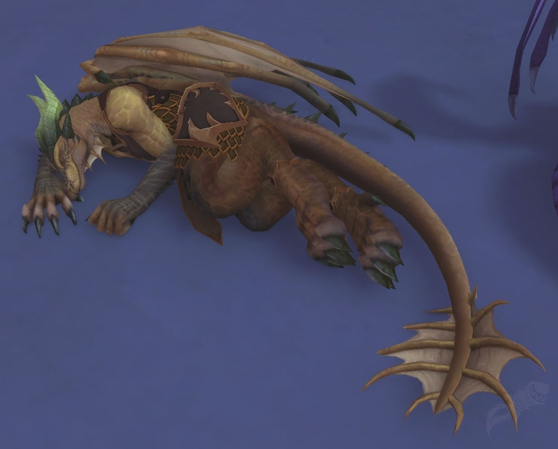 Dracthyr Scout - NPC - World of Warcraft Dracthyr Scout - NPC - World of Warcraft