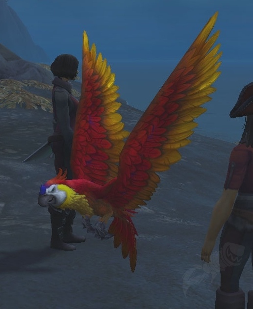 Irontide Squawker - NPC - World of Warcraft