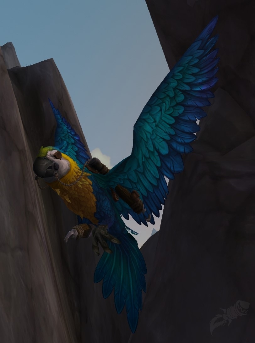Riding Macaw - NPC - World of Warcraft