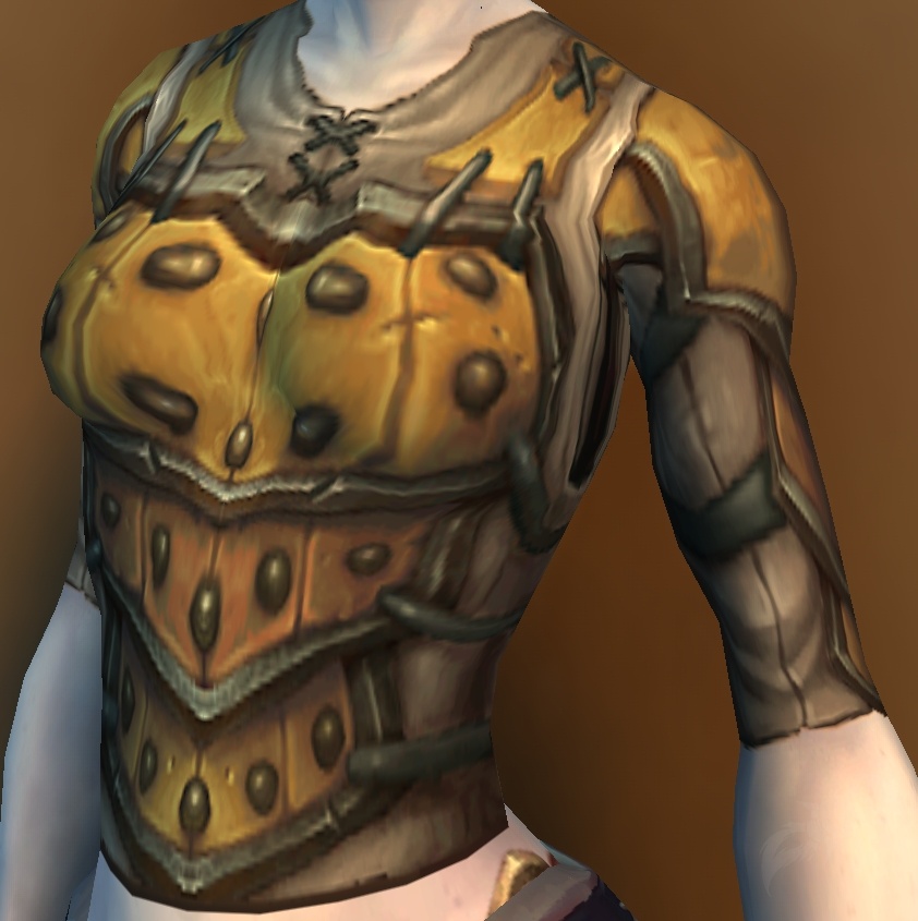 Thunderpaw Tunic - Item - World of Warcraft