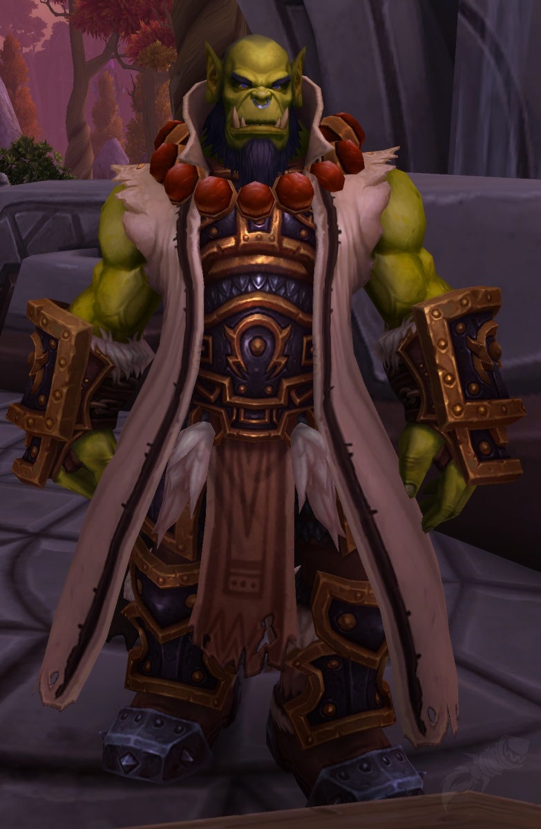 Thrall - PNJ - World of Warcraft