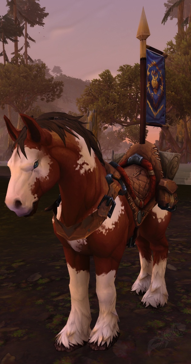 Caballo de carga robusto - PNJ - World of Warcraft