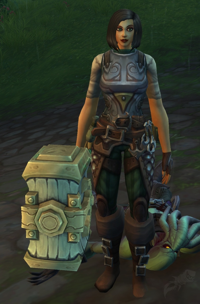 Storm's Wake Militia - NPC - 11.0.2 Beta