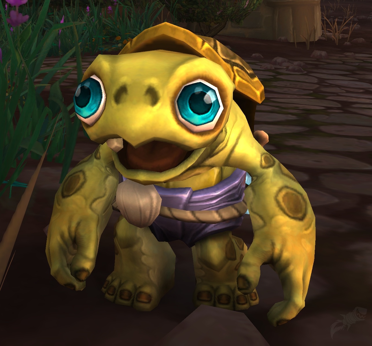 Tortollan Child - NPC - World of Warcraft