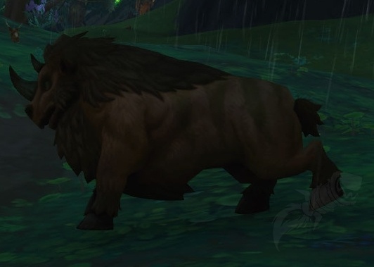 Rambunctious Calf - NPC - World of Warcraft