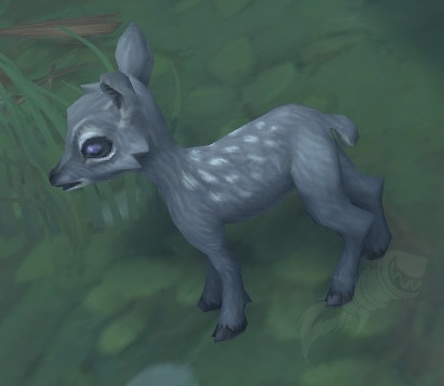 Grey Tailed Foal - NPC - World of Warcraft