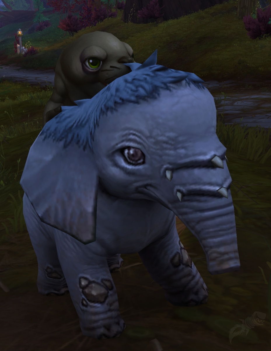 Oopa - NPC - World of Warcraft