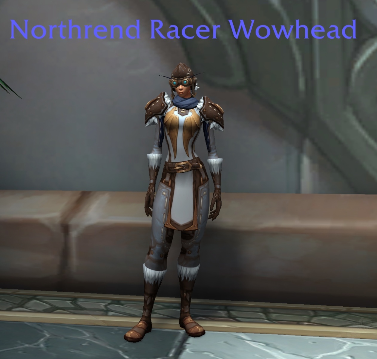 Northrend Racer - Title - World of Warcraft