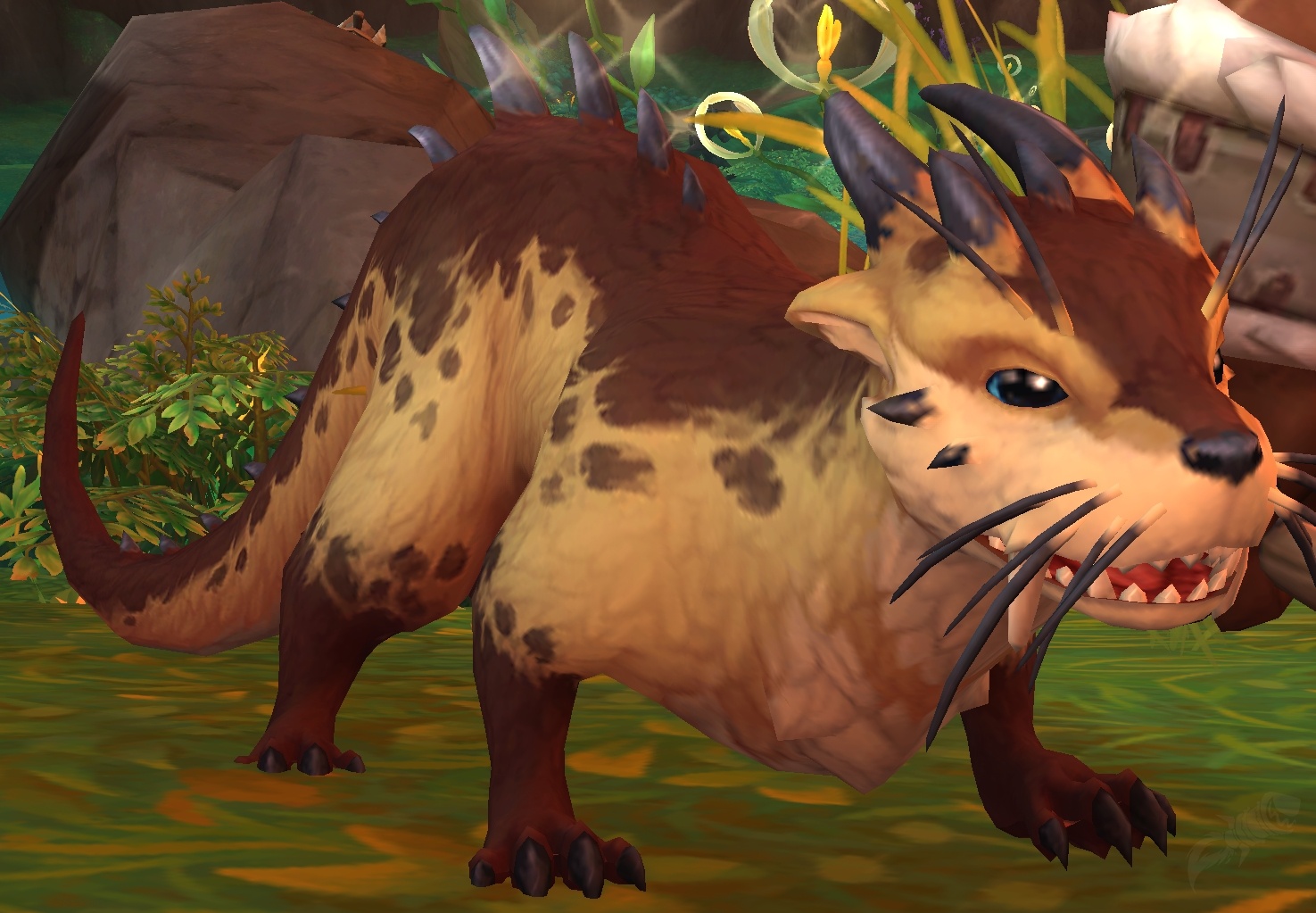 Qipi - NPC - World of Warcraft