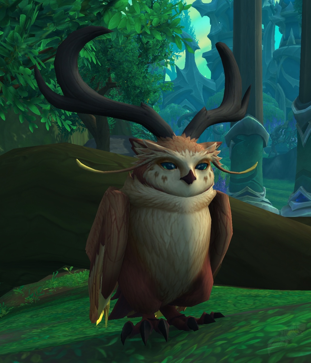 Tawny Somnowl - NPC - World of Warcraft