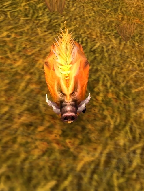 Battleboar - NPC - TBC Classic