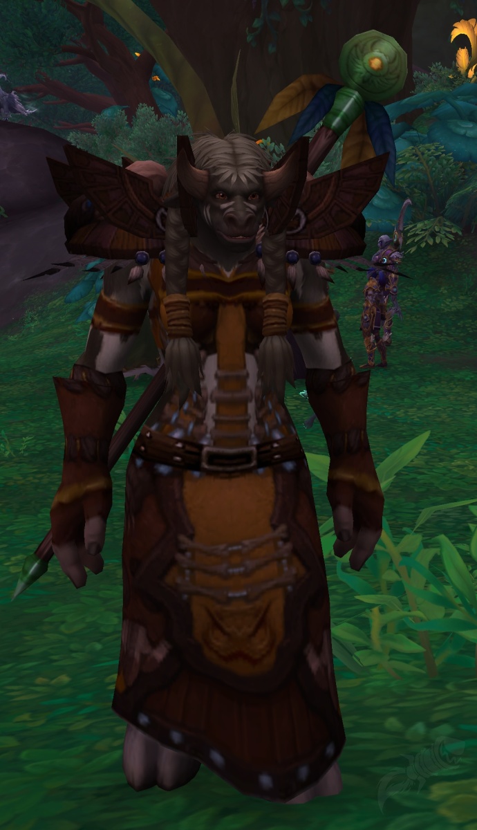 Bashana Runetotem - NPC - World of Warcraft
