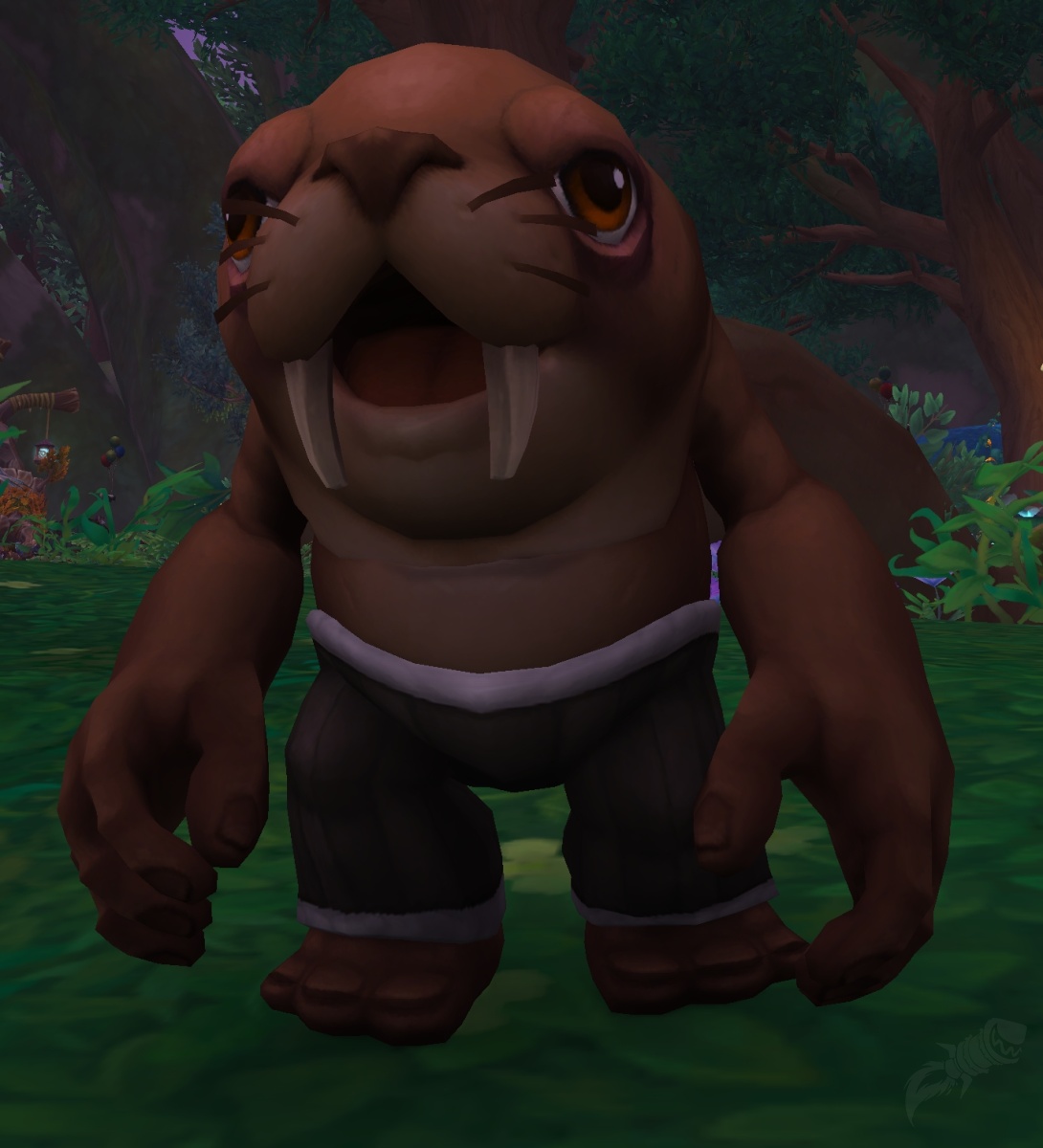 Rowie - PNJ - World of Warcraft