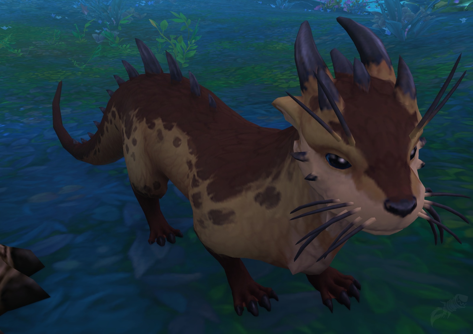 Qipi - NPC - World of Warcraft