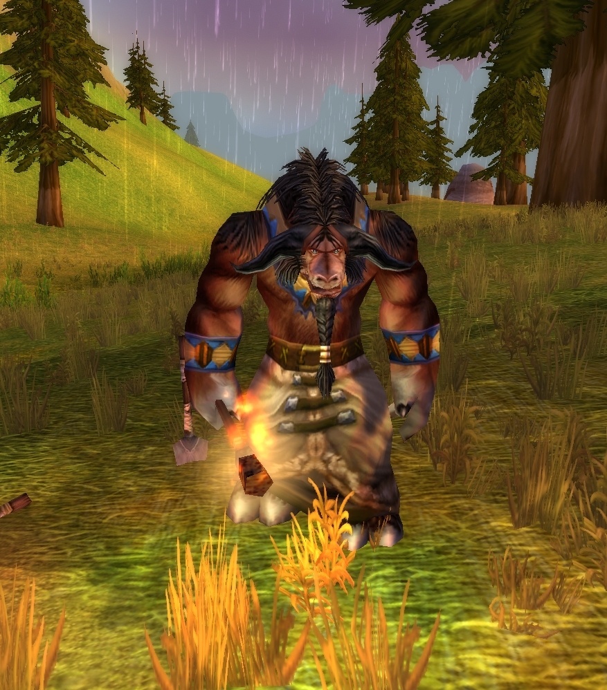 Erudito Totem da Chuva - PNJ - World of Warcraft Clássico