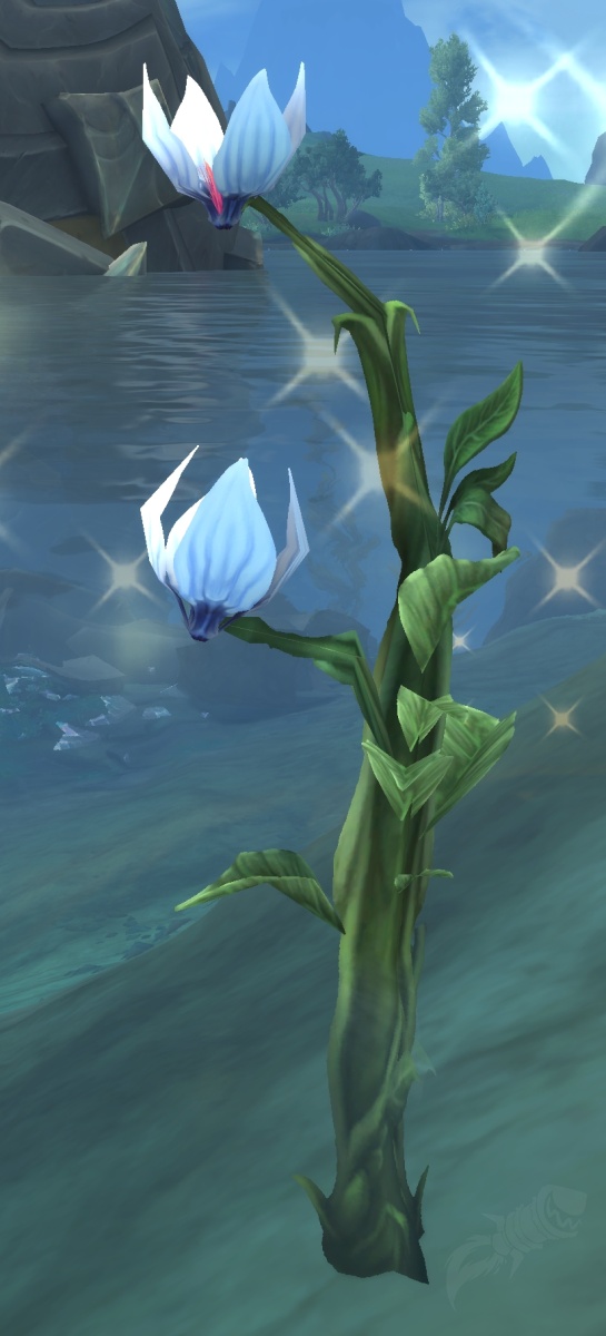 Geyser Flower - Object - World of Warcraft
