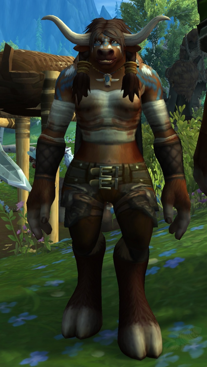 Nawa - NPC - World of Warcraft