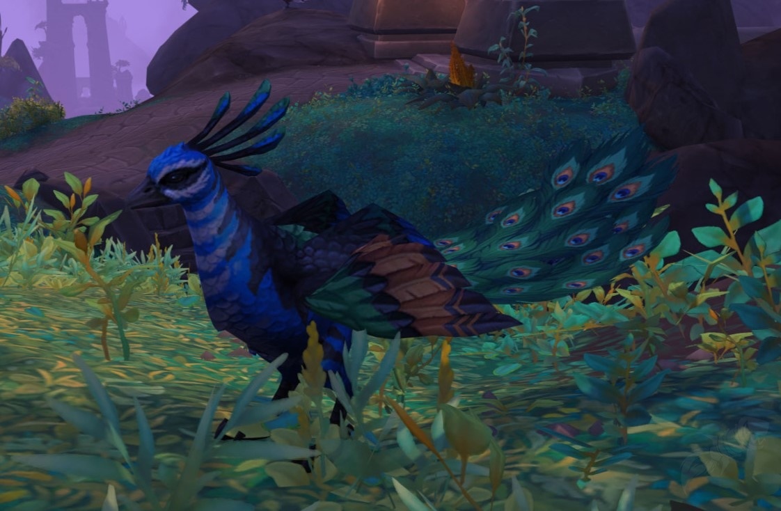 Pavo real de la academia - PNJ - World of Warcraft