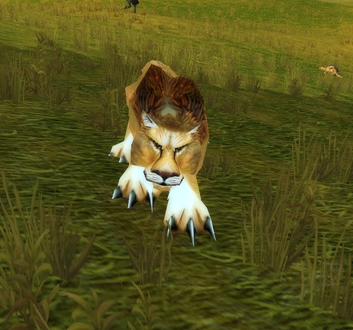 Mokwa - NPC - Classic World of Warcraft