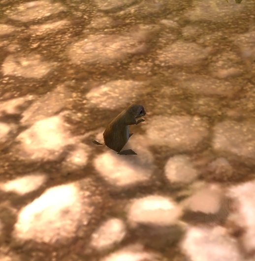 Prairie Dog - NPC - WotLK Classic